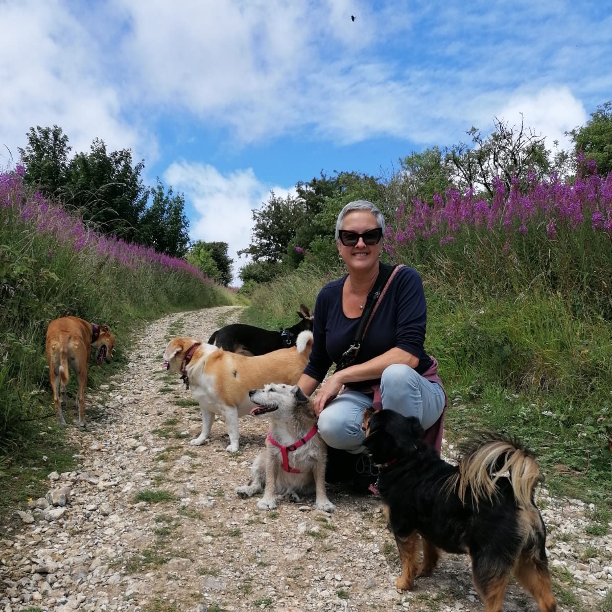 About Wendy’s Walk & Board – Wendy's Walk & Board